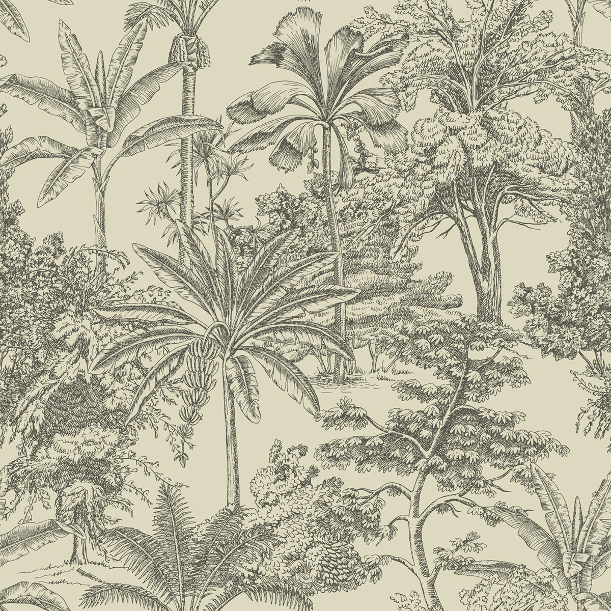 WALLPAPER ZAMIA – The Canvas Company