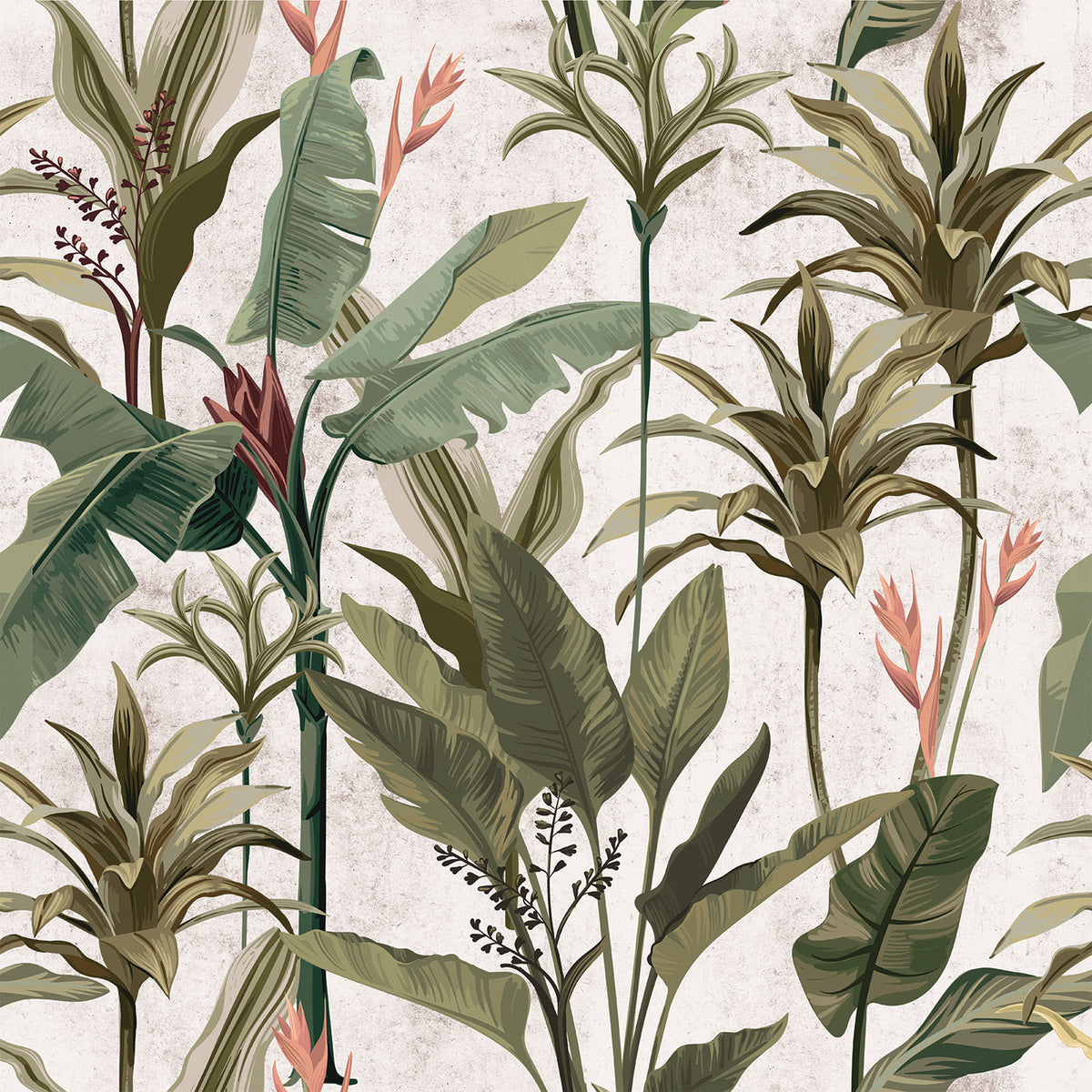 WALLPAPER MUSA – The Canvas Company